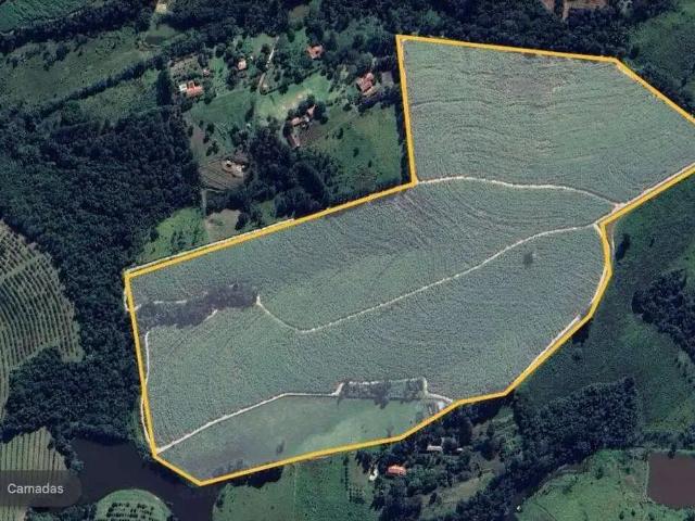 Sítio / Chácara para Venda em Porto Feliz/SP Avecuia do Alto