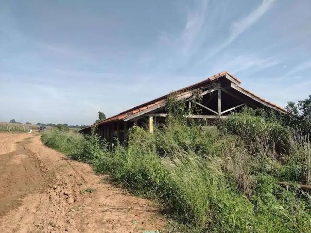 Sítio / Chácara para Venda em Porto Feliz/SP Bom Retiro