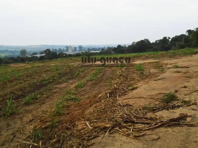 Sítio / Chácara para Venda em Porto Feliz/SP Bom Retiro