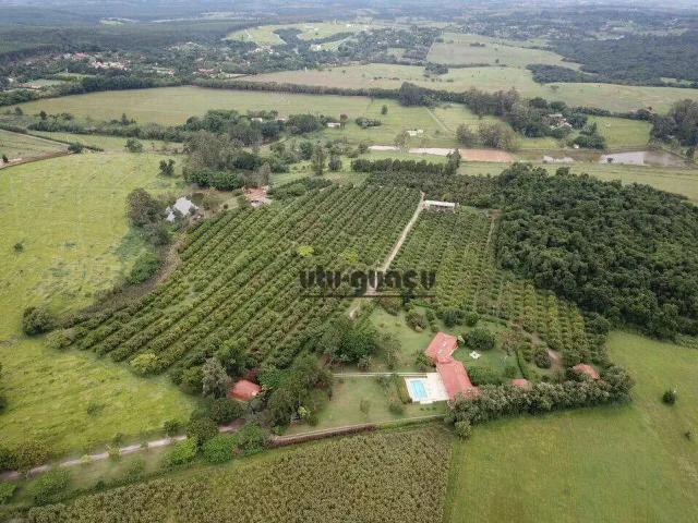Sítio / Chácara para Venda em Porto Feliz/SP Gramadinho