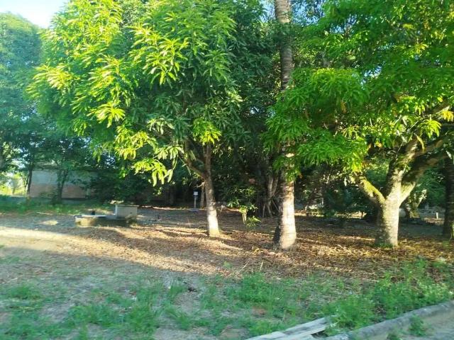 Sítio / Chácara para Venda em Porto Seguro/BA Parque Ecológico João Carlos 2 Quartos