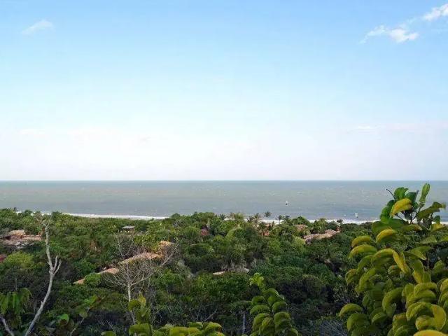 Sítio / Chácara para Venda em Porto Seguro/BA Trancoso