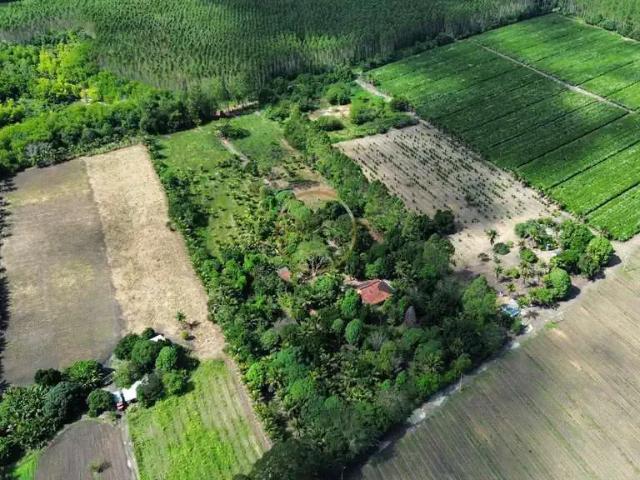 Sítio / Chácara para Venda em Porto Seguro/BA Zona Rural 4 Quartos