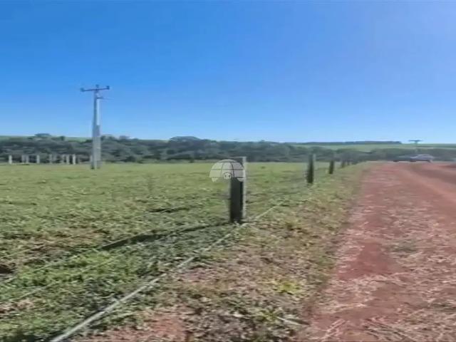 Sítio / Chácara para Venda em Pato Branco/PR Zona Rural