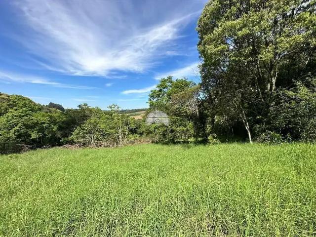 Sítio / Chácara para Venda em Pato Branco/PR Zona Rural