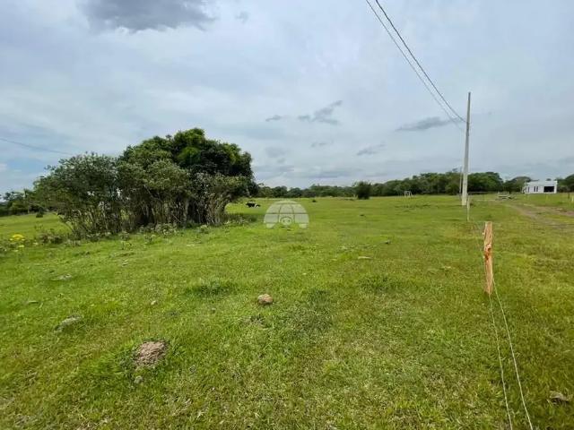Sítio / Chácara para Venda em Pato Branco/PR Zona Rural