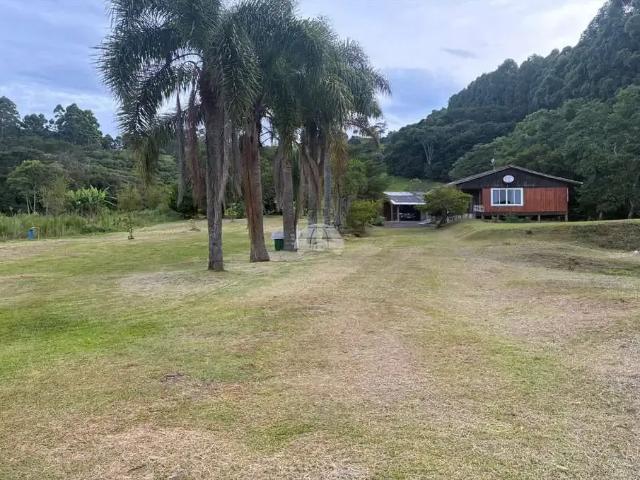 Sítio / Chácara para Venda em Pato Branco/PR Zona Rural 3 Quartos