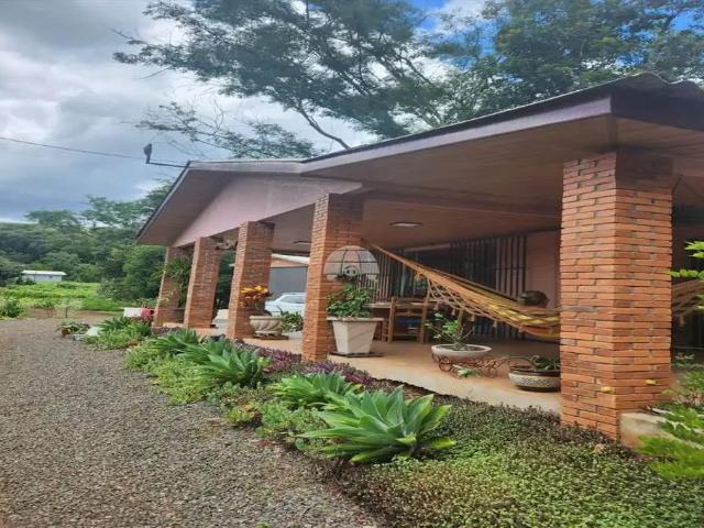 Sítio / Chácara para Venda em Pato Branco/PR Zona Rural 3 Quartos