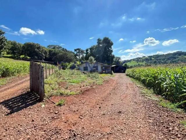 Sítio / Chácara para Venda em Pato Branco/PR Zona Rural