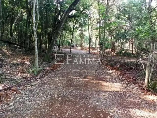 Sítio / Chácara para Venda em Pato Branco/PR Zona Rural