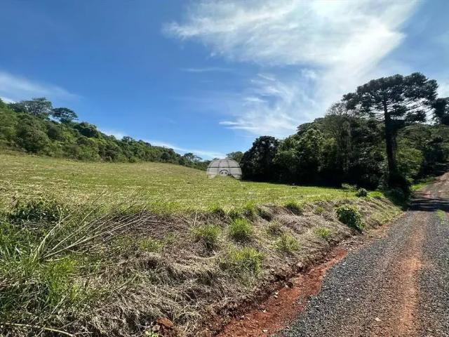 Sítio / Chácara para Venda em Pato Branco/PR Zona Rural
