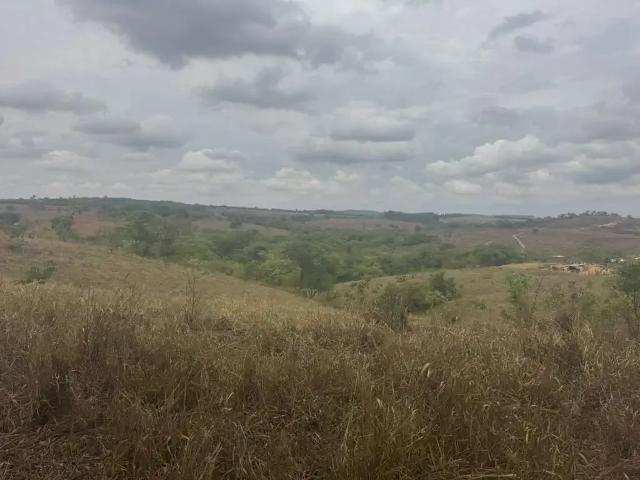 Sítio / Chácara para Venda em Patos de Minas/MG Área Rural de Patos de Minas