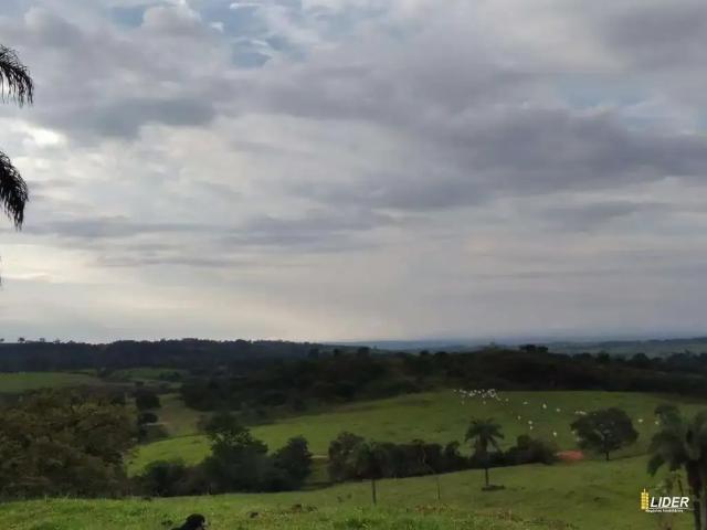 Sítio / Chácara para Venda em Patos de Minas/MG Centro