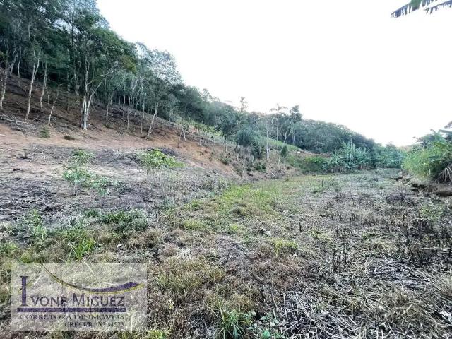 Sítio / Chácara para Venda em Paty do Alferes/RJ Bela Vista