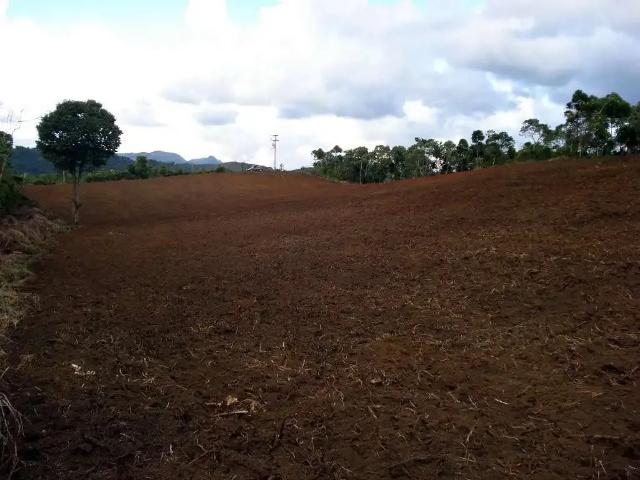 Sítio / Chácara para Venda em Paty do Alferes/RJ Palmares