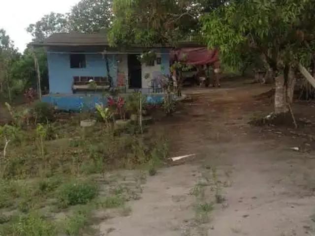 Sítio / Chácara para Venda em Paudalho/PE Chã de Conselho 2 Quartos