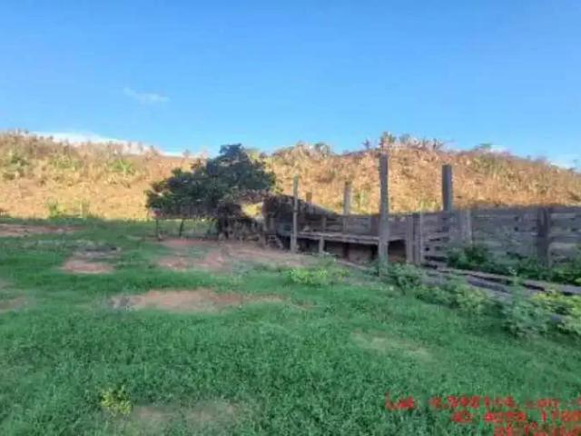 Sítio / Chácara para Venda em Paulo Ramos/MA Zona Rural