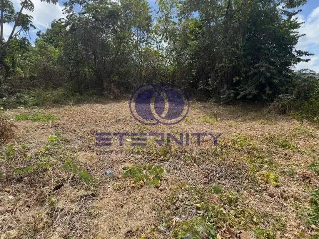 Sítio / Chácara para Venda em Paulista/PE Fragoso