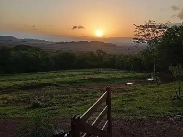 Sítio / Chácara para Venda em Paiçandu/PR Zona Rural