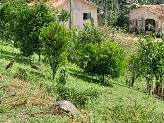 Sítio / Chácara para Venda em Palhoça/SC Alto Aririu