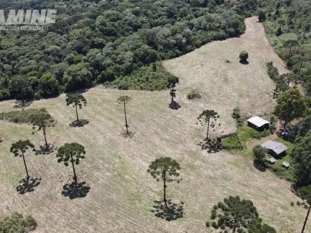 Sítio / Chácara para Venda em Palmas/PR Área Rural