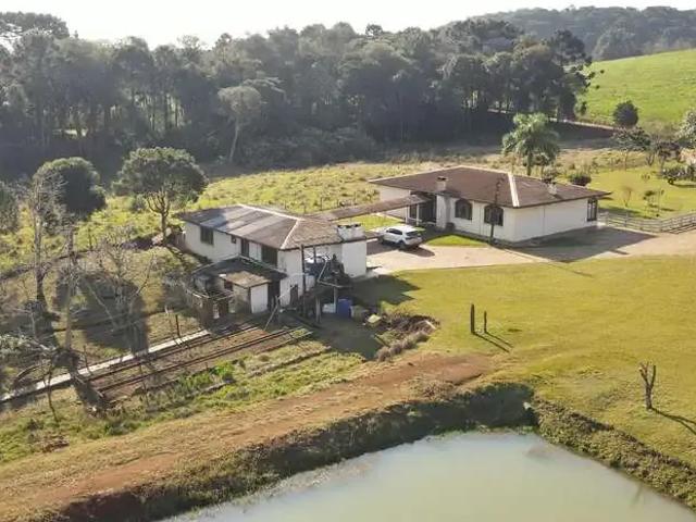 Sítio / Chácara para Venda em Palmas/PR Zona Rural