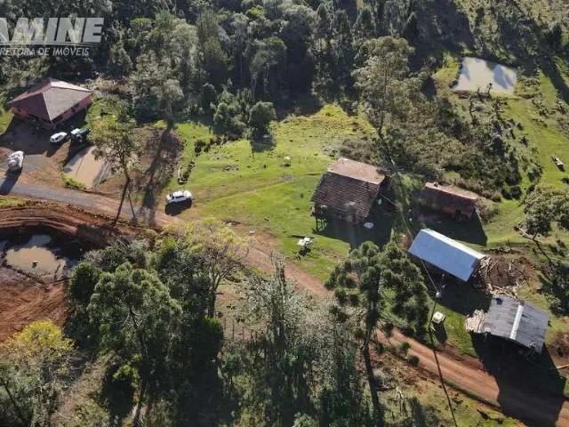 Sítio / Chácara para Venda em Palmas/PR Área Rural