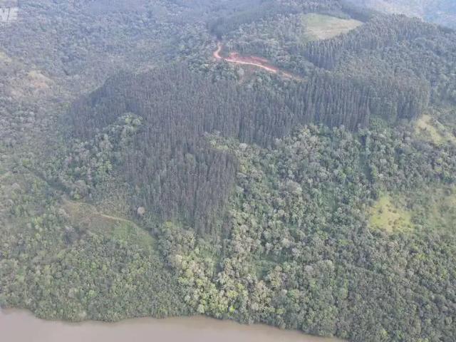 Sítio / Chácara para Venda em Palmas/PR Zona Rural