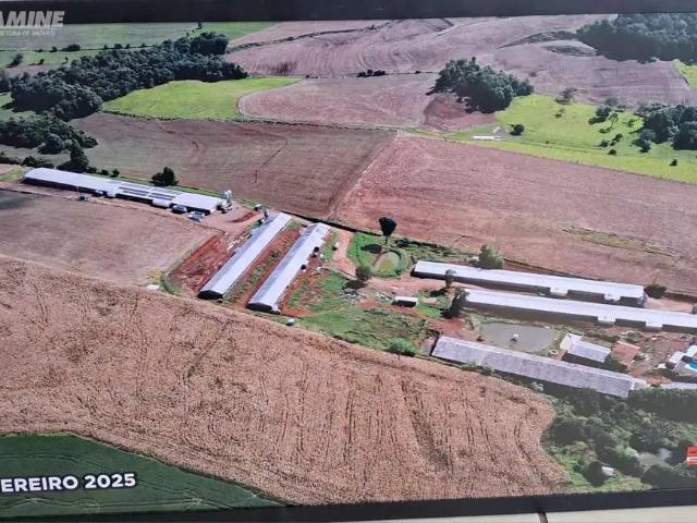Sítio / Chácara para Venda em Palmas/PR Área Rural