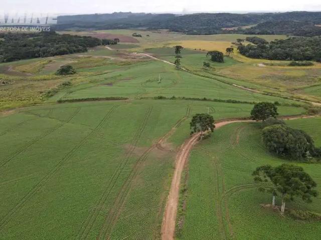Sítio / Chácara para Venda em Palmas/PR Área Rural