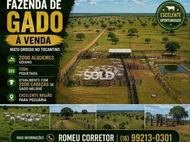 Sítio / Chácara para Venda em Palmas/TO Arso 1 Quartos