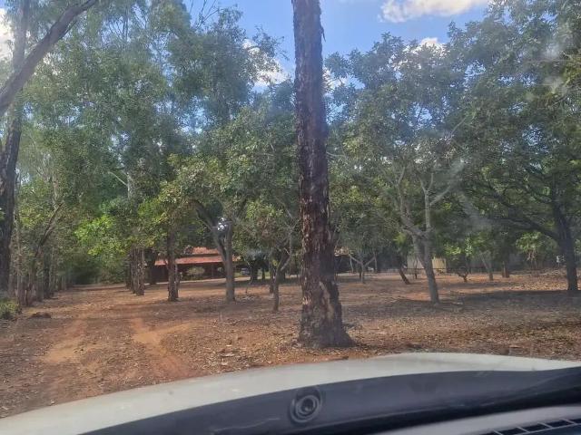 Sítio / Chácara para Venda em Palmas/TO Plano Diretor Norte 3 Quartos