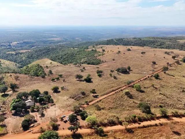 Sítio / Chácara para Venda em Palmas/TO Taquarussu