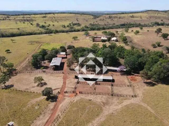 Sítio / Chácara para Venda em Palmas/TO Taquarussu 3 Quartos