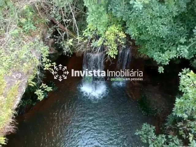 Sítio / Chácara para Venda em Palmas/TO Zona Rural 2 Quartos