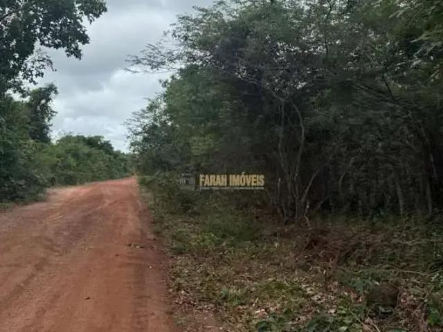 Sítio / Chácara para Venda em Palmeira do Piauí/PI Centro 1 Quartos