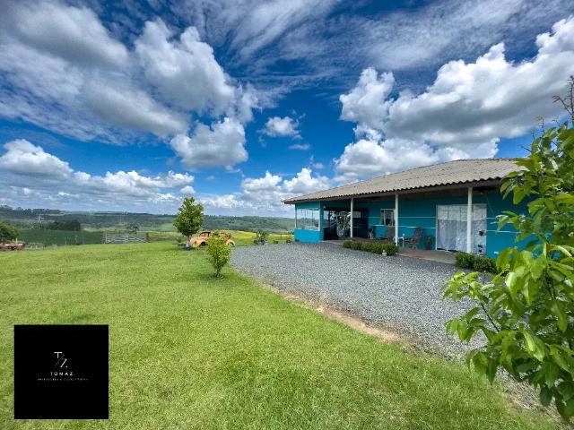 Sítio / Chácara para Venda em Palmeira/PR Zona Rural 3 Quartos