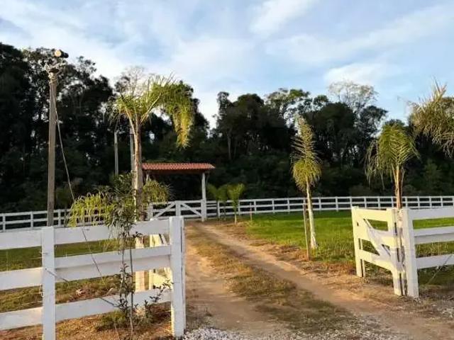 Sítio / Chácara para Venda em Palmeira/PR Centro