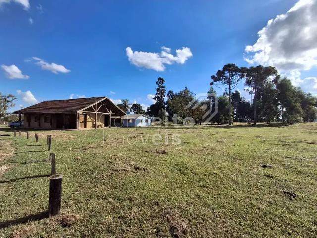 Sítio / Chácara para Venda em Palmeira/PR Pugas de Cima 4 Quartos