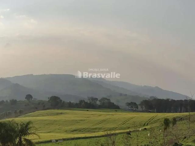 Sítio / Chácara para Venda em Palmital/PR Zona Rural