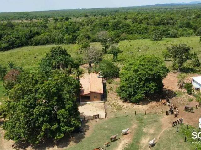 Sítio / Chácara para Venda em Palminópolis/GO Zona Rural 3 Quartos