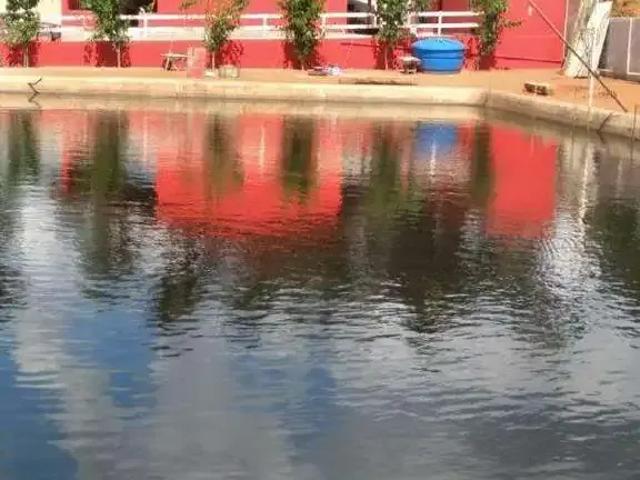 Sítio / Chácara para Venda em Pará de Minas/MG Córrego do Barro