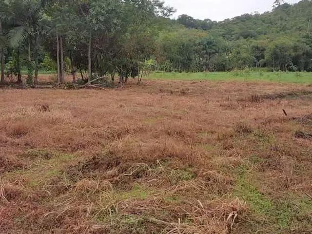 Sítio / Chácara para Venda em Paranaguá/PR Colônia Maria Luiza