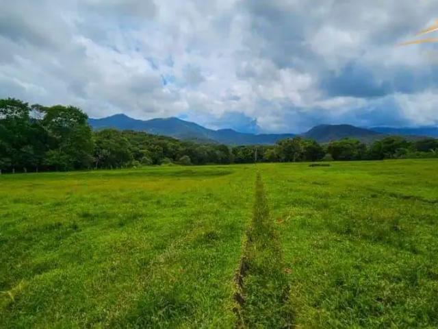 Sítio / Chácara para Venda em Paranaguá/PR Colônia Maria Luiza 1 Quartos