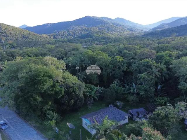 Sítio / Chácara para Venda em Paranaguá/PR Colônia Pereira
