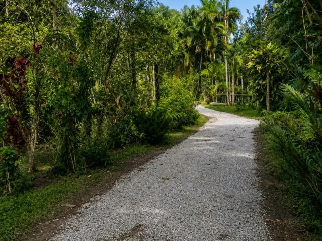 Sítio / Chácara para Venda em Paranaguá/PR Colônia Quintilha