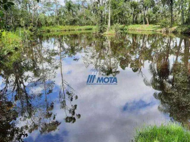 Sítio / Chácara para Venda em Paranaguá/PR Rio das Pedras
