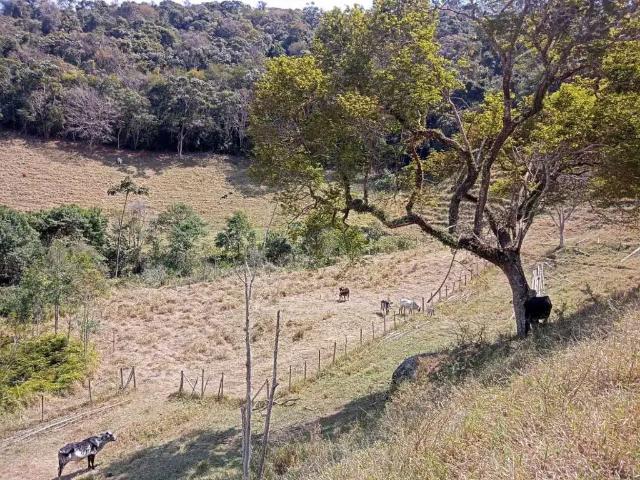 Sítio / Chácara para Venda em Paraibuna/SP Centro 2 Quartos