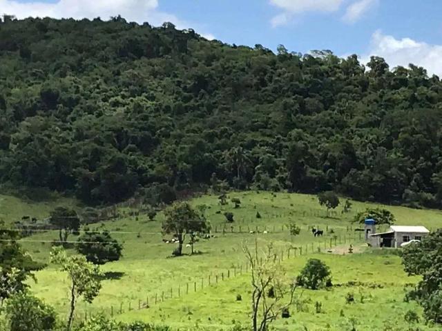 Sítio / Chácara para Venda em Paraibuna/SP Centro