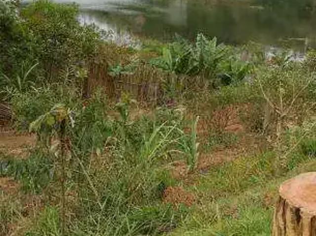 Sítio / Chácara para Venda em Paraibuna/SP Bairro da Lagoa 3 Quartos